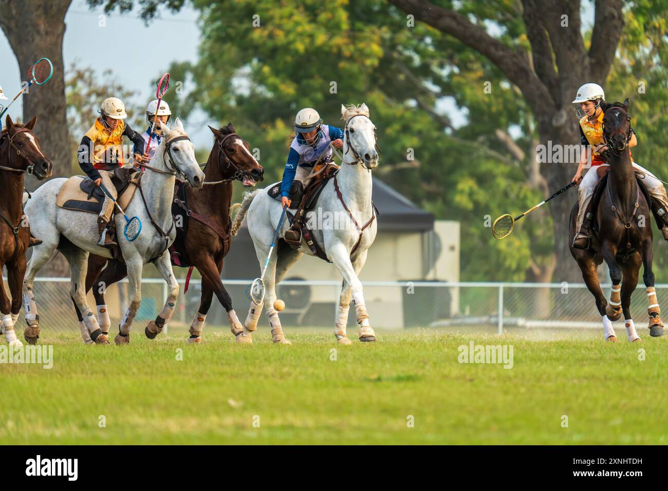 Darwin, Australia - 27 July 2024: polocrosse game at the 2024 Royal ...