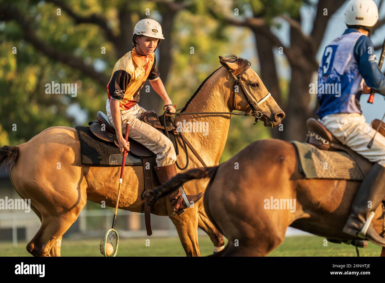 Darwin, Australia - 27 July 2024: polocrosse game at the 2024 Royal ...