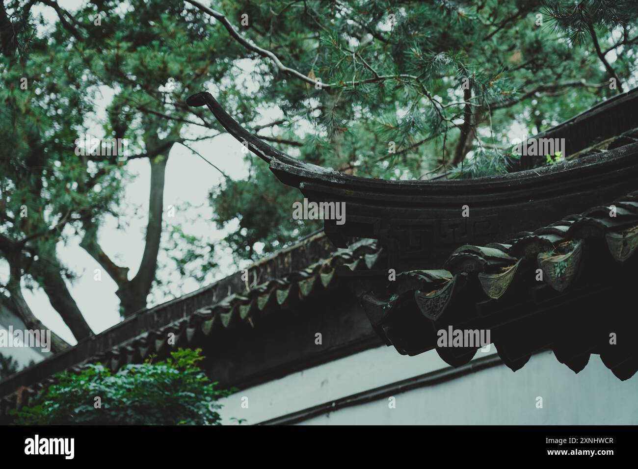 A curved roofline of a traditional Chinese building is framed by lush ...