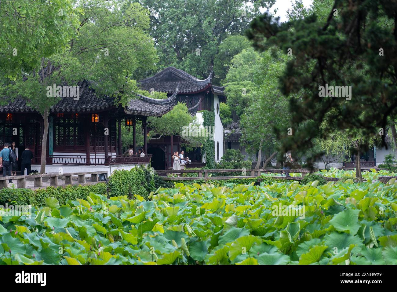 Suzhou, China - June 11, 2024 : A Chinese garden with traditional ...