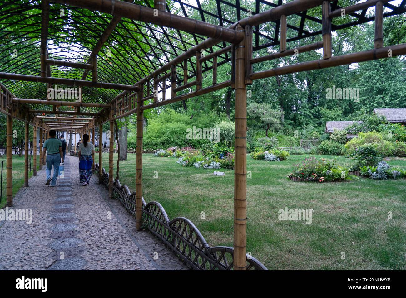 Suzhou, China - June 11, 2024 : A paved walkway lined with bamboo ...