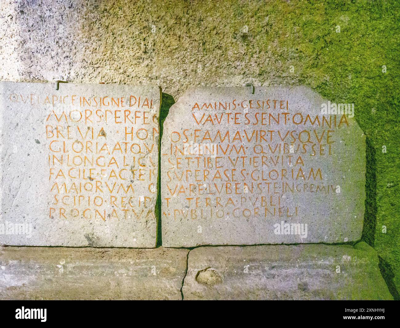 The inscription of Publius Cornelius Scipio, Flamine Diale, belonging ...