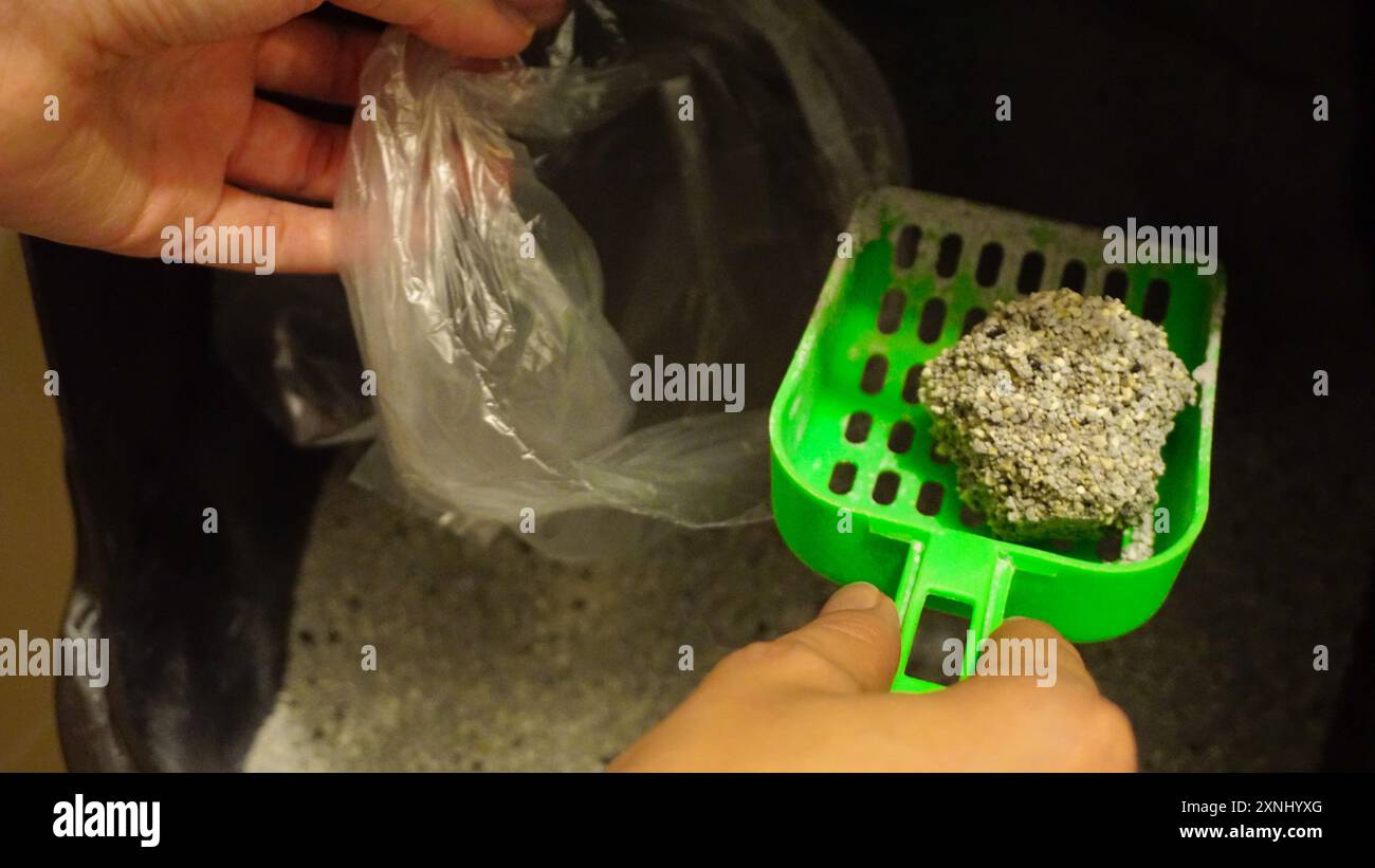 Plastic cat litter box hi-res stock photography and images - Alamy