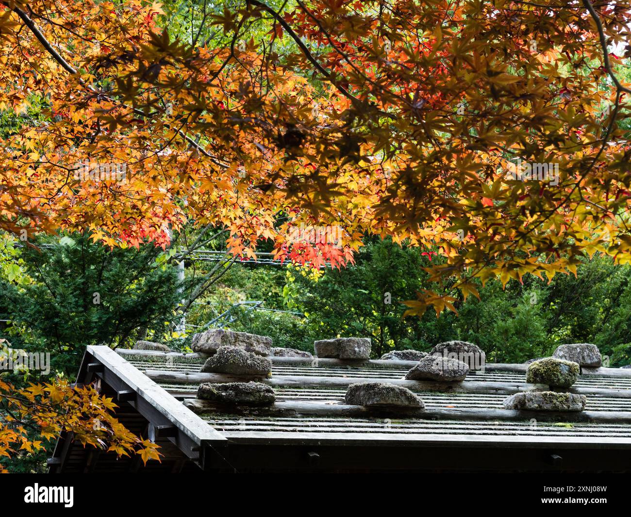 Traditional japanese roof hi-res stock photography and images - Alamy