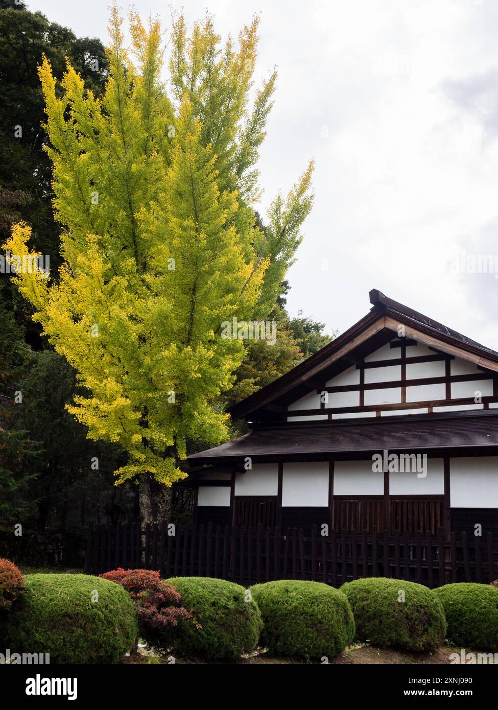 Fall foliage at the entrance to Fukushima Checkpoint Museum in Kiso ...