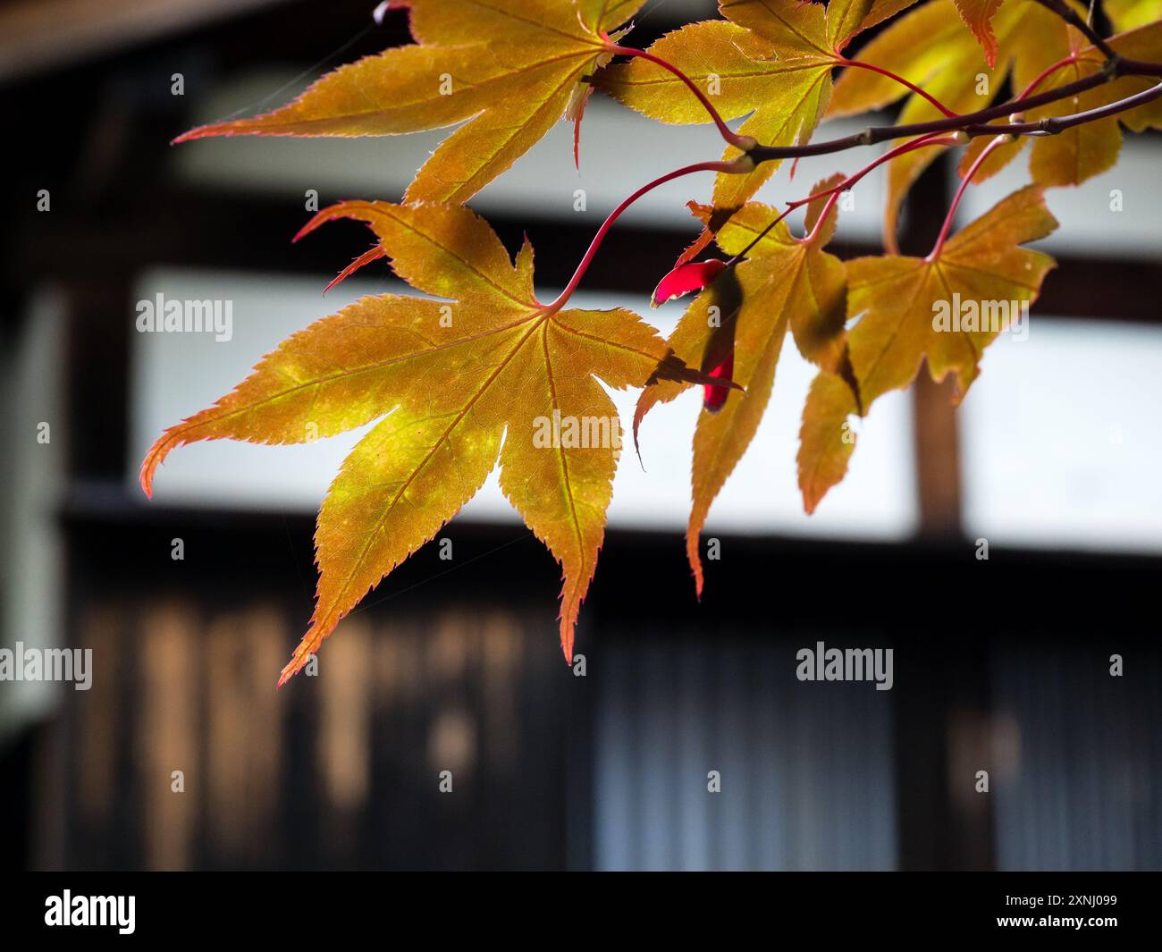 Traditional japanese house wall hi-res stock photography and images - Alamy