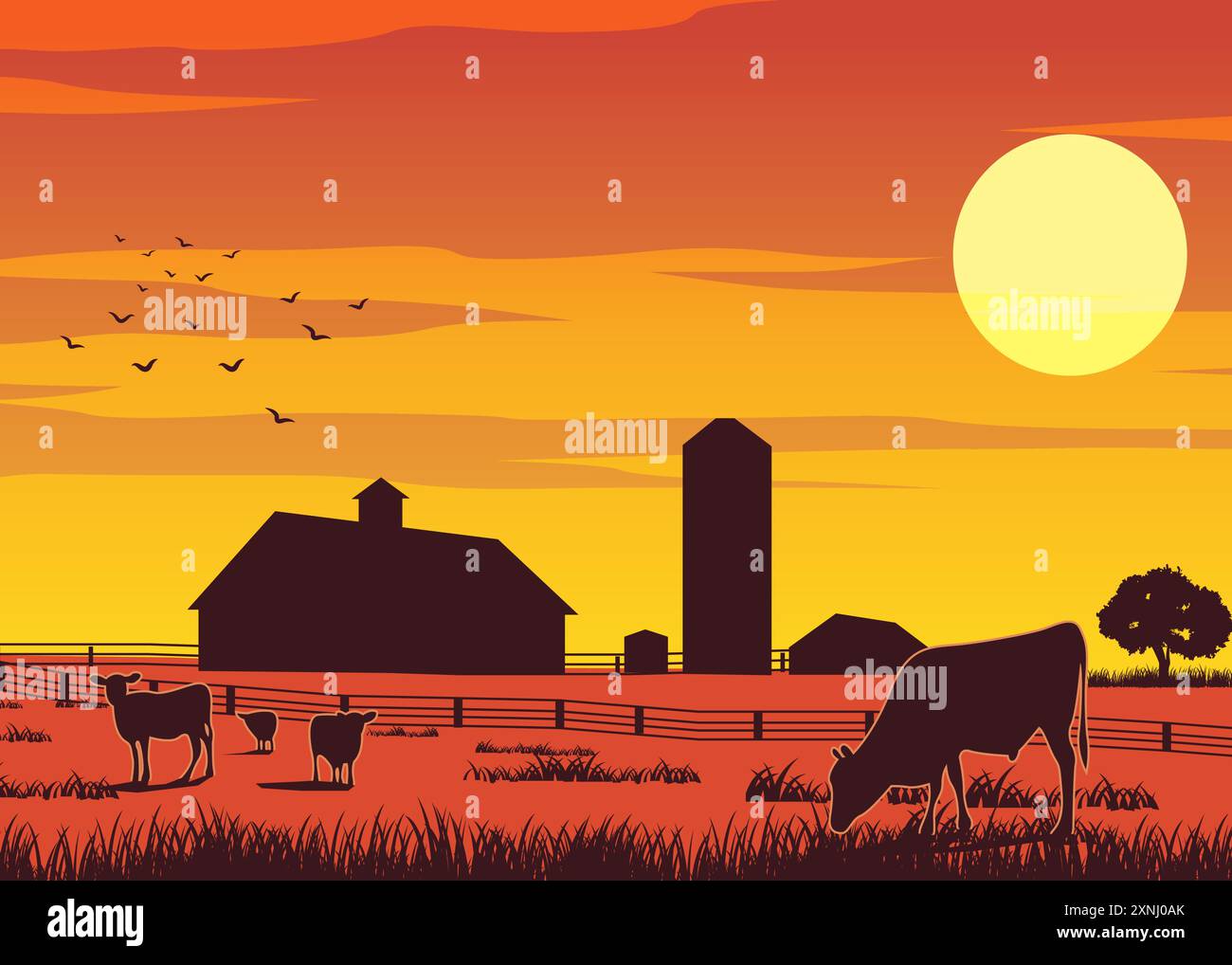 Silhouette design of farm while cows eating the grass on sunset time ...
