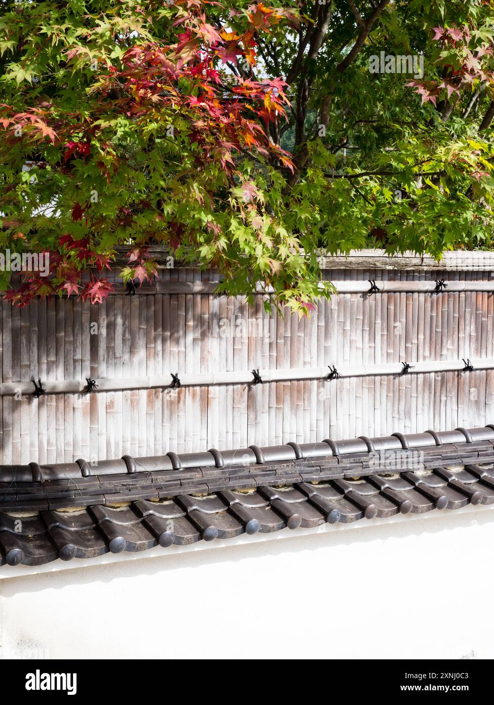 Japanese style bamboo fence hi-res stock photography and images - Alamy