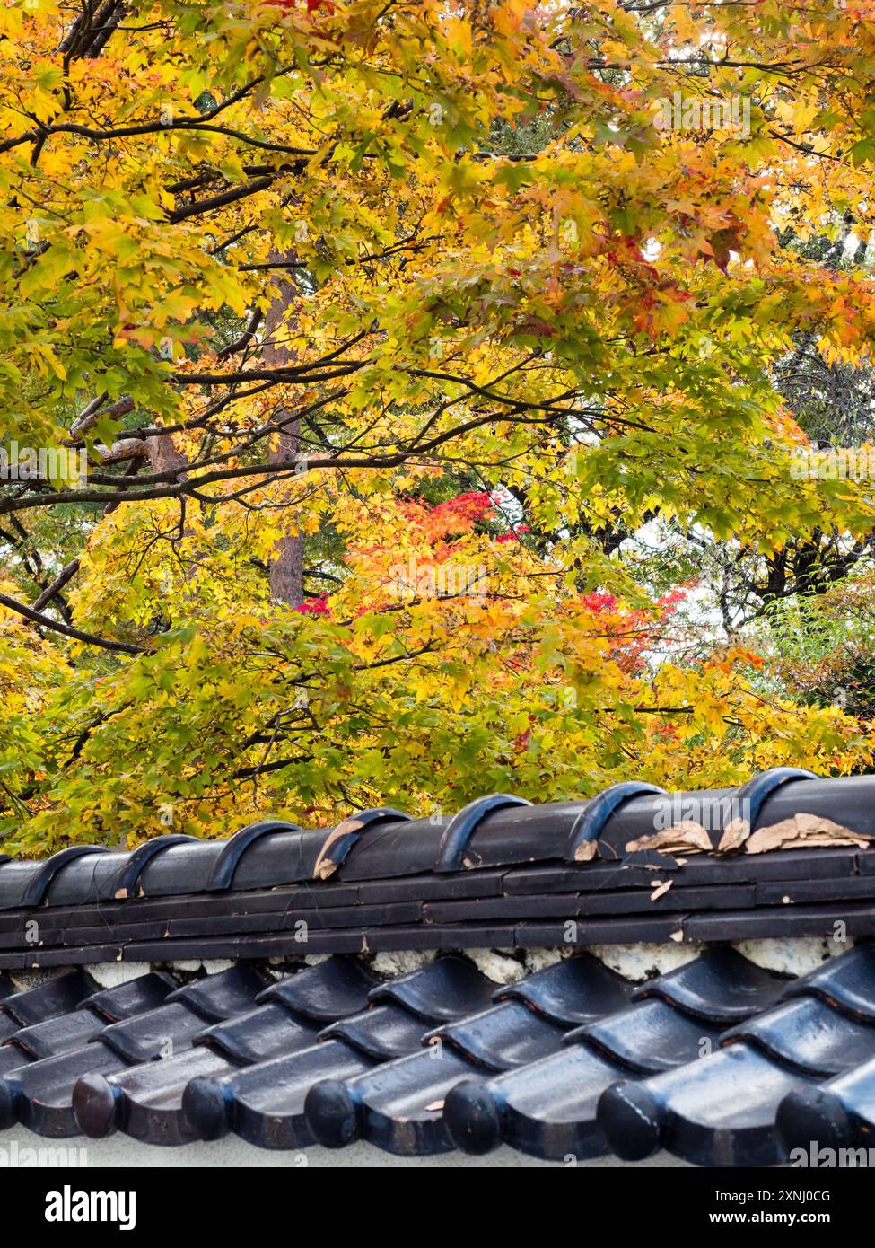 Traditional autumn hi-res stock photography and images - Alamy