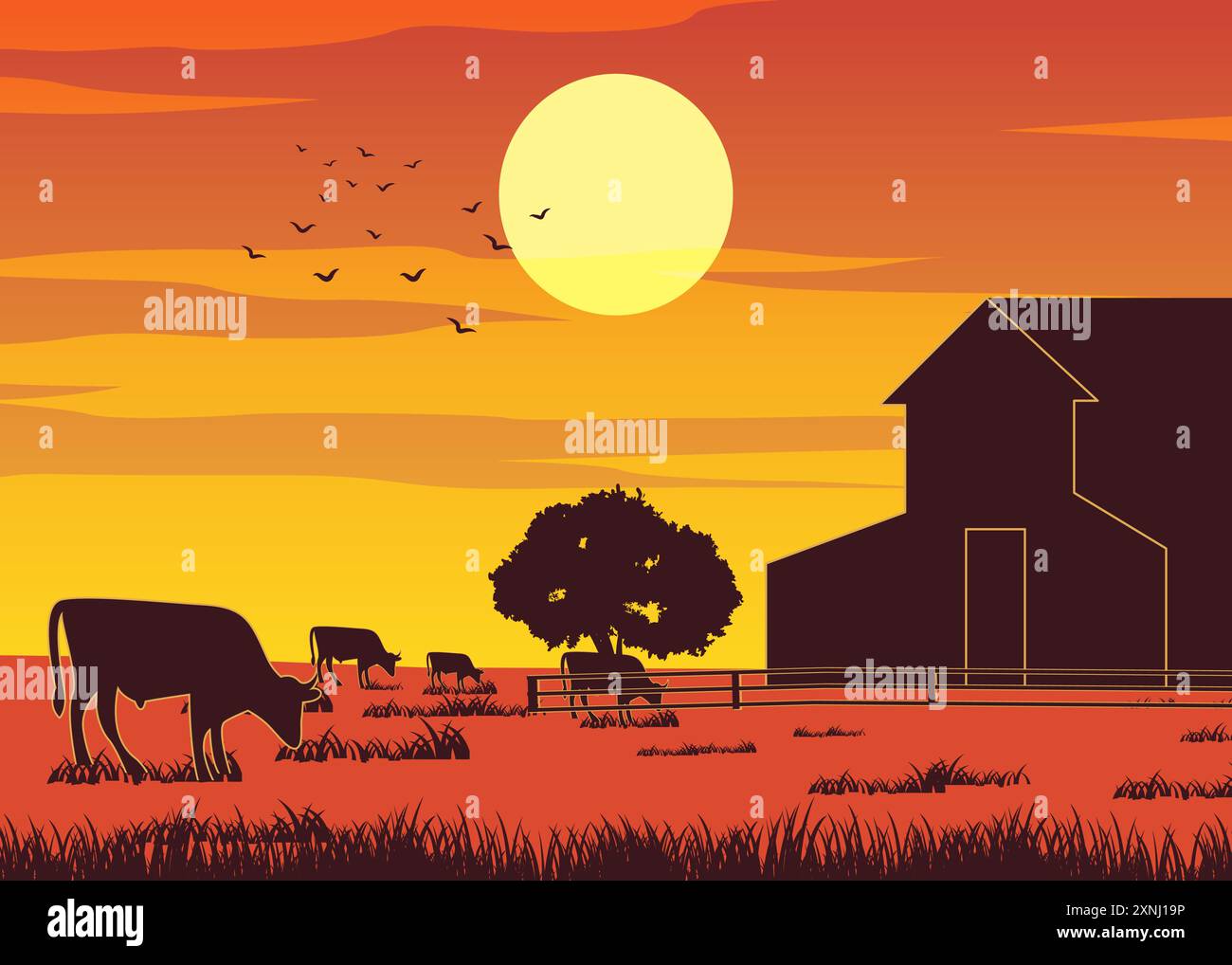 Silhouette design of farm while cows eating the grass on sunset time ...