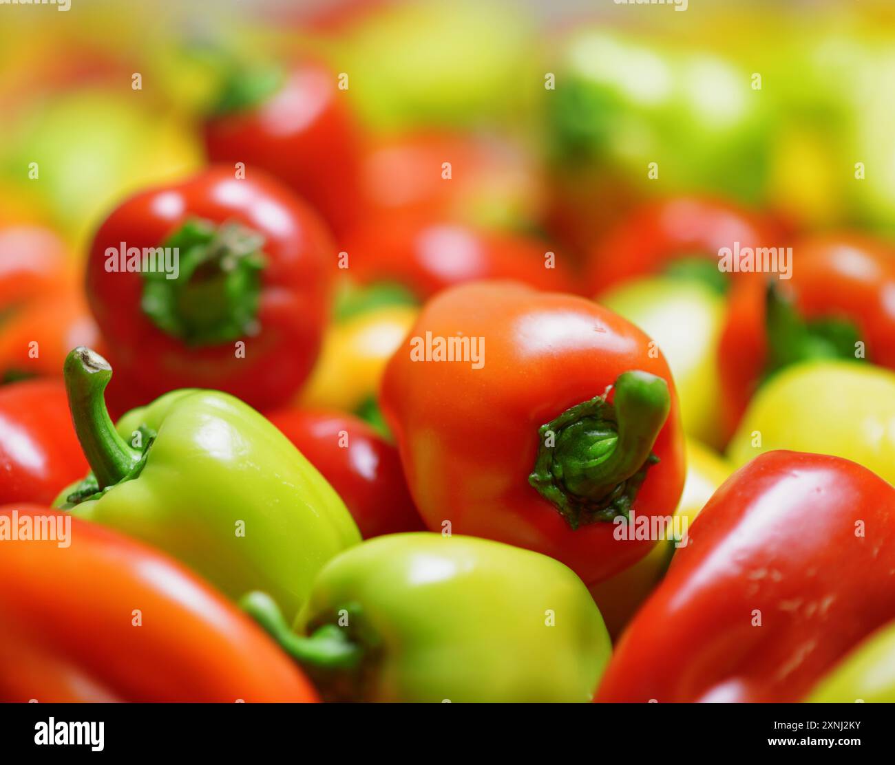 Vegetable capsicum sale hi-res stock photography and images - Alamy