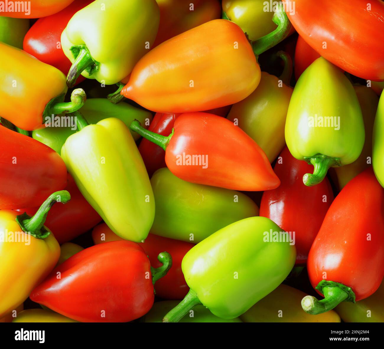 Vegetable capsicum sale hi-res stock photography and images - Alamy