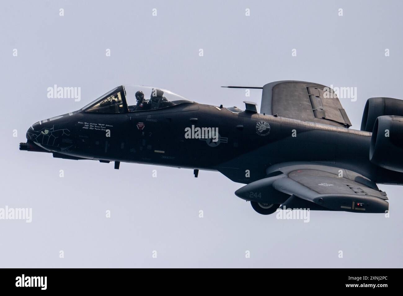 U.S. Air Force Maj. Lindsay “MAD” Johnson, A-10C Thunderbolt II ...