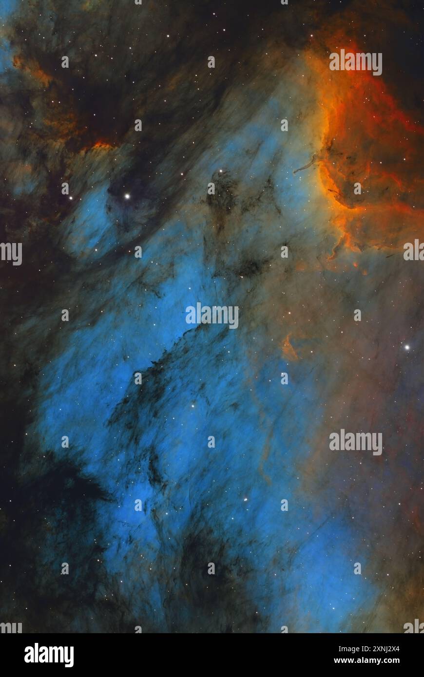 Pelican Nebula (IC 5070) in the constellation of Cygnus - shown in ...