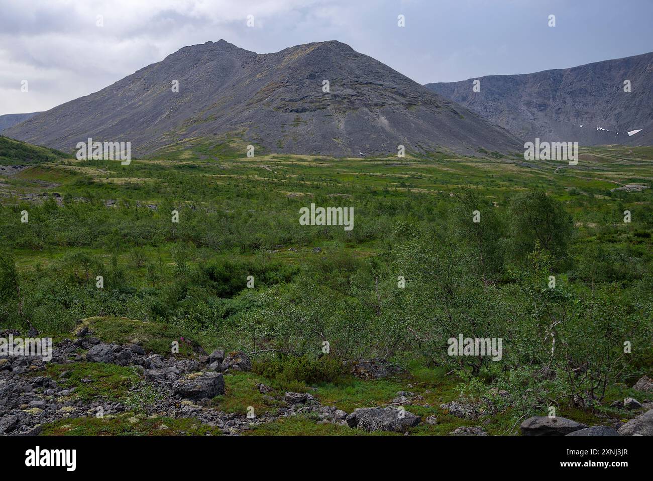 Tundra landscape with moss and mountains hi-res stock photography and ...