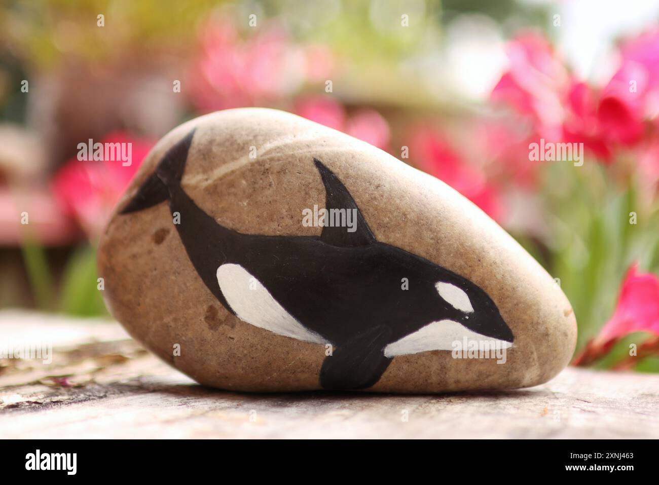 Realistic stone painting of orca. It is outdoor Stock Photo - Alamy