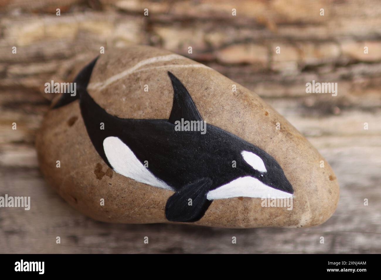 Realistic stone painting of orca. It is outdoor Stock Photo - Alamy