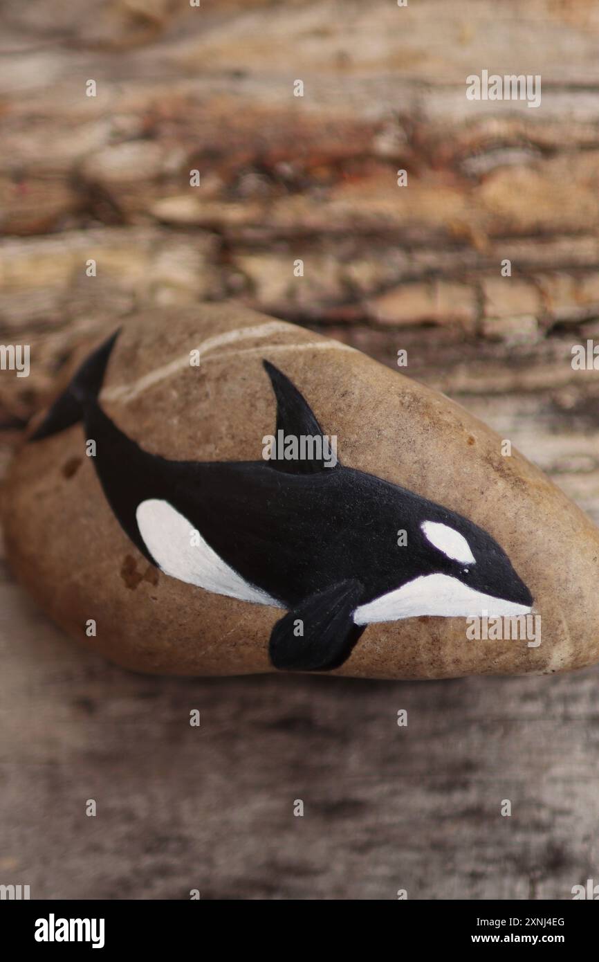 Realistic stone painting of orca. It is outdoor Stock Photo - Alamy