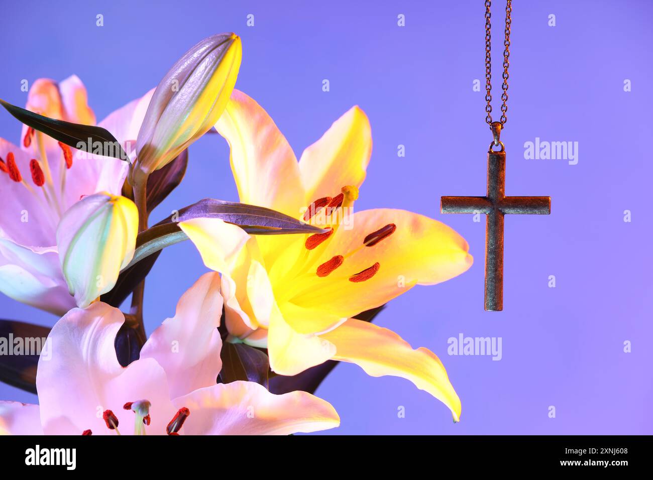 One cross with chain and beautiful lily flowers on purple background ...