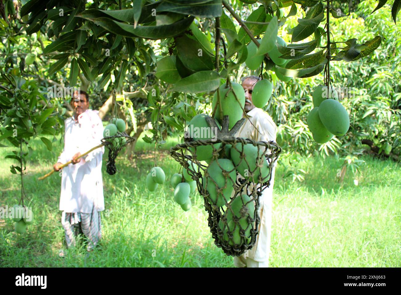 Multan pakistan hi-res stock photography and images - Alamy