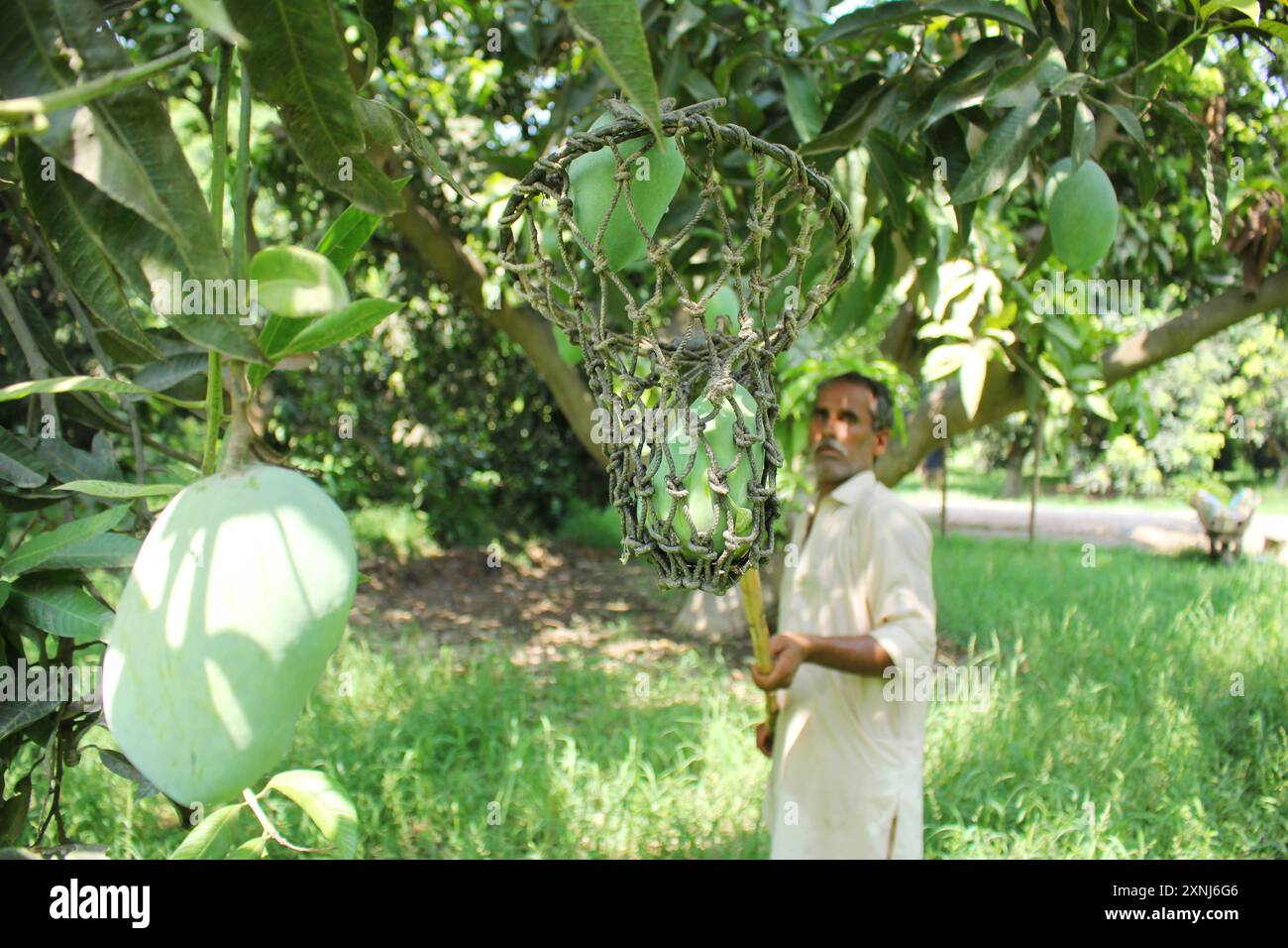 Multan pakistan hi-res stock photography and images - Alamy