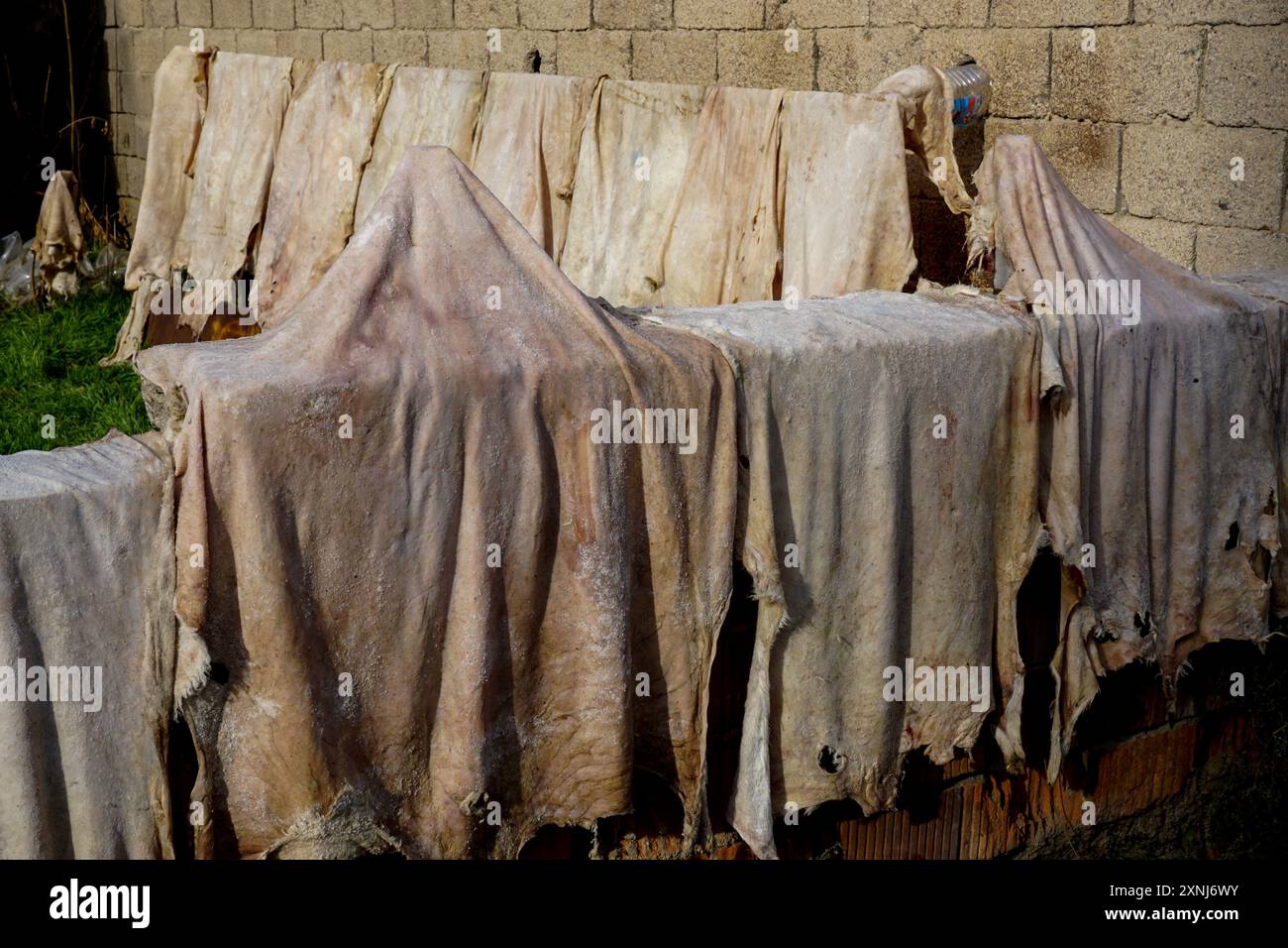 Leather tannery alutation process drying leather in the sun close up ...