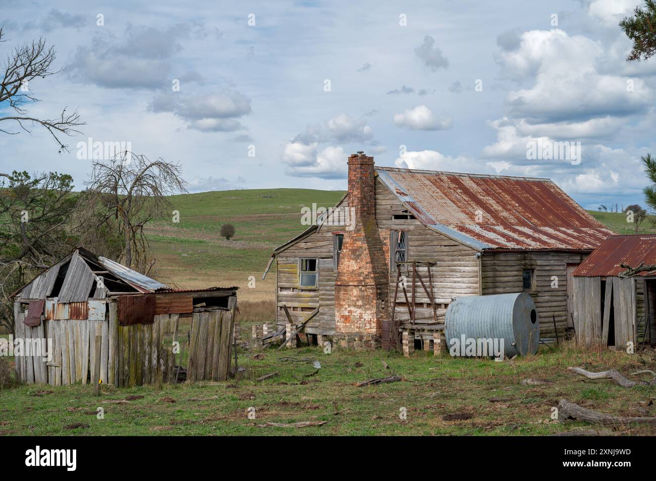 The early settler heritage, old, wooden, homestead ruins in the Uralla ...