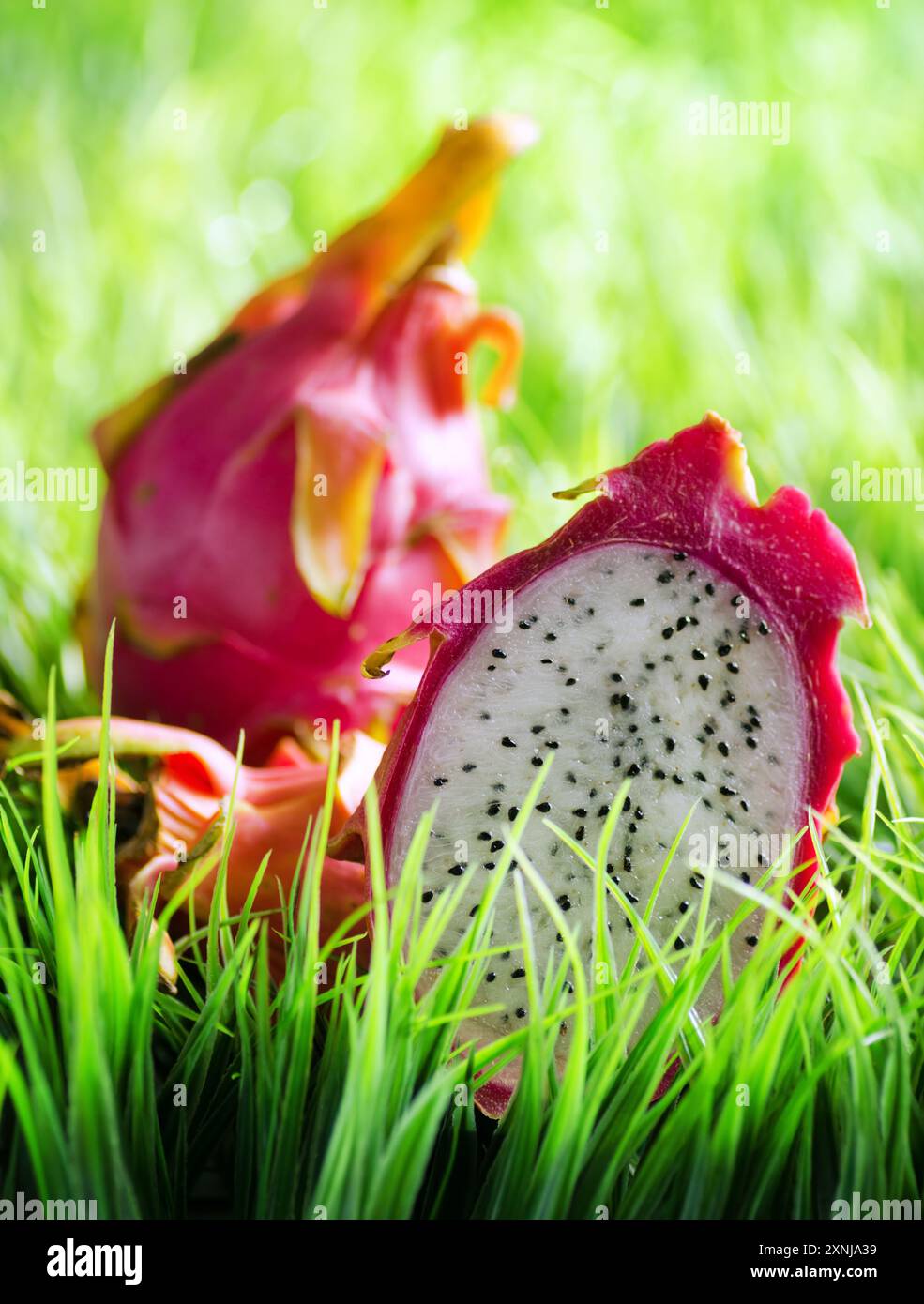 Ripe dragon fruit on green grass Stock Photo - Alamy