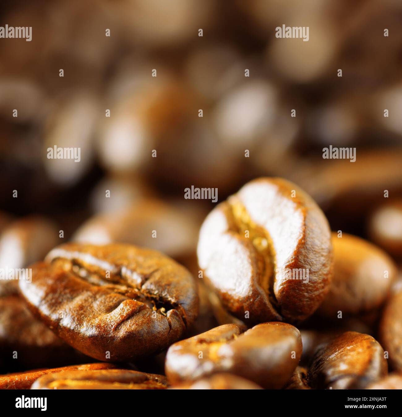 Arabica coffee seed hi-res stock photography and images - Alamy