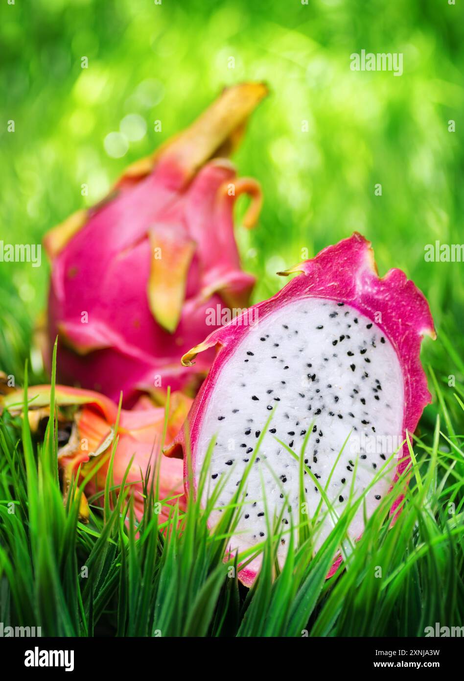 Ripe dragon fruit on green grass Stock Photo - Alamy