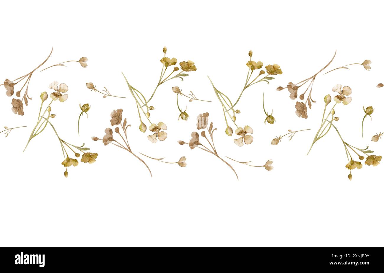 Dry wild flowers in monochrome beige watercolor. Abstract flowers in ...