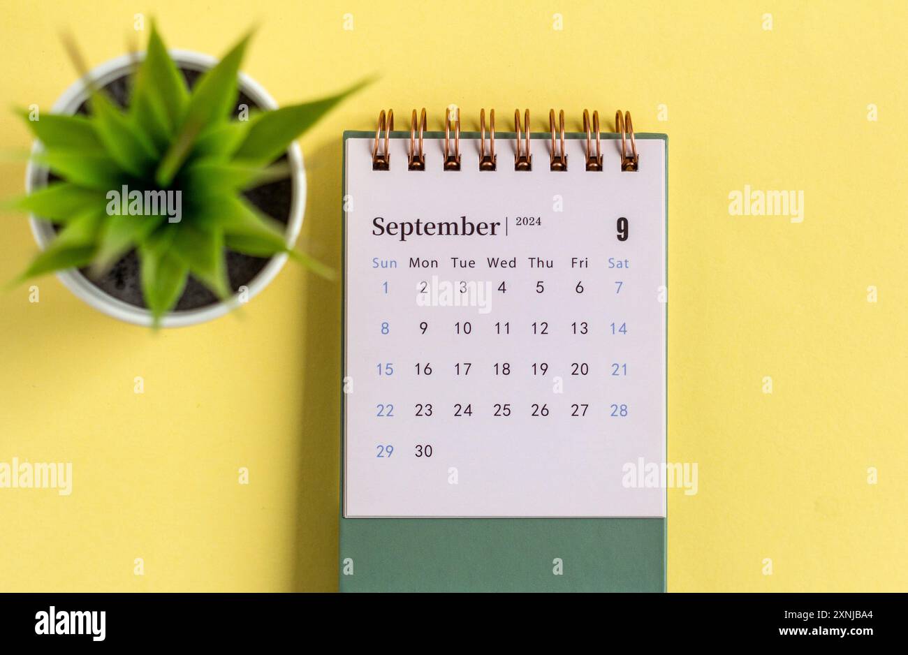 Calendar for September 2024 on a yellow background Stock Photo - Alamy