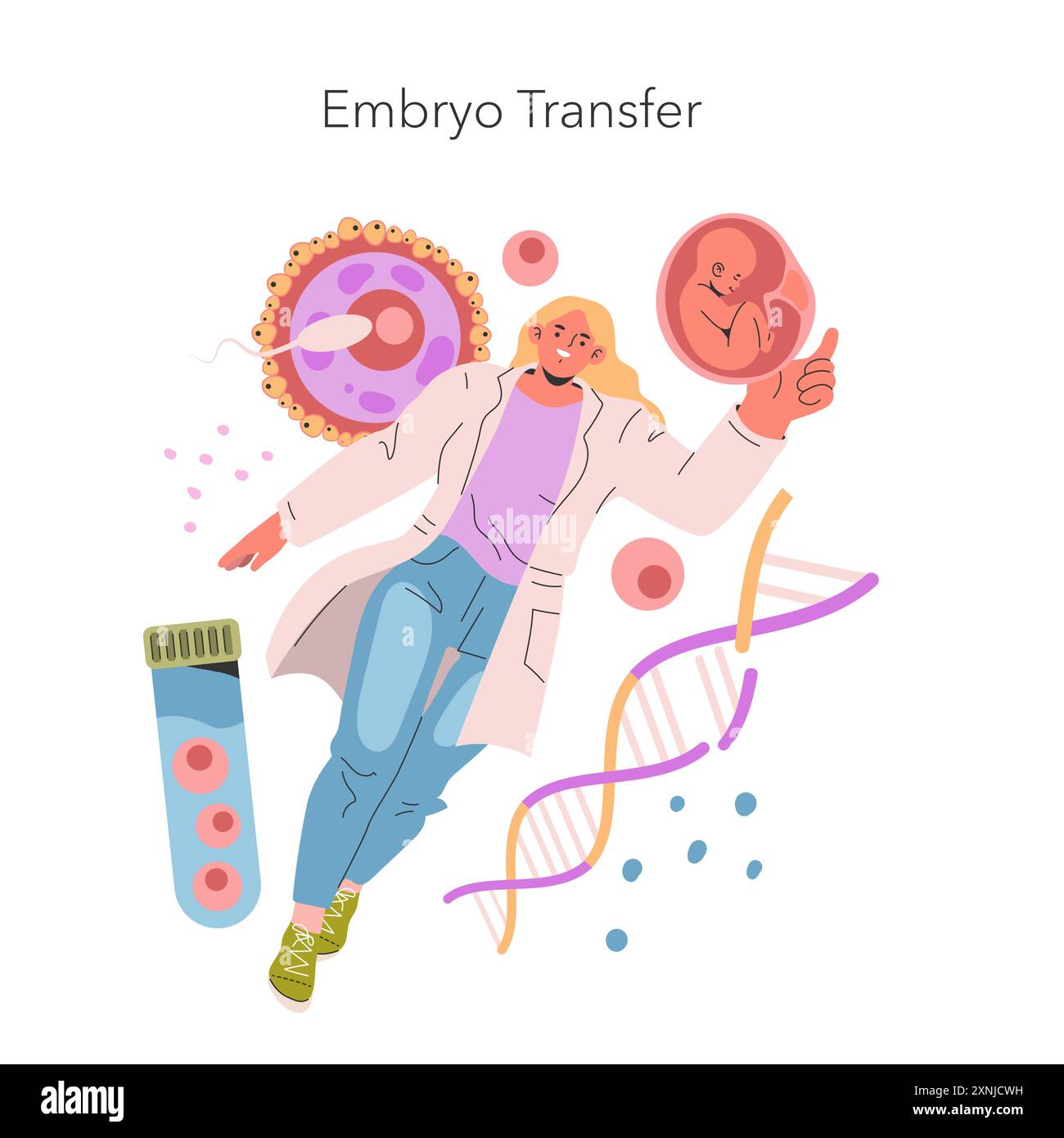 Reproductive stages hi-res stock photography and images - Alamy