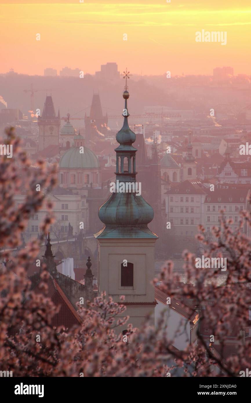 sunrise in a Prague park with a view of the tower. there are trees in ...