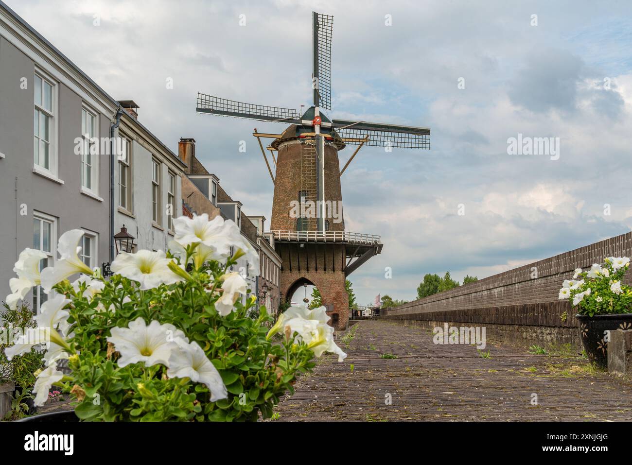 Historical dutch windmill in Wijk bij Duurstede, the only drive-through ...