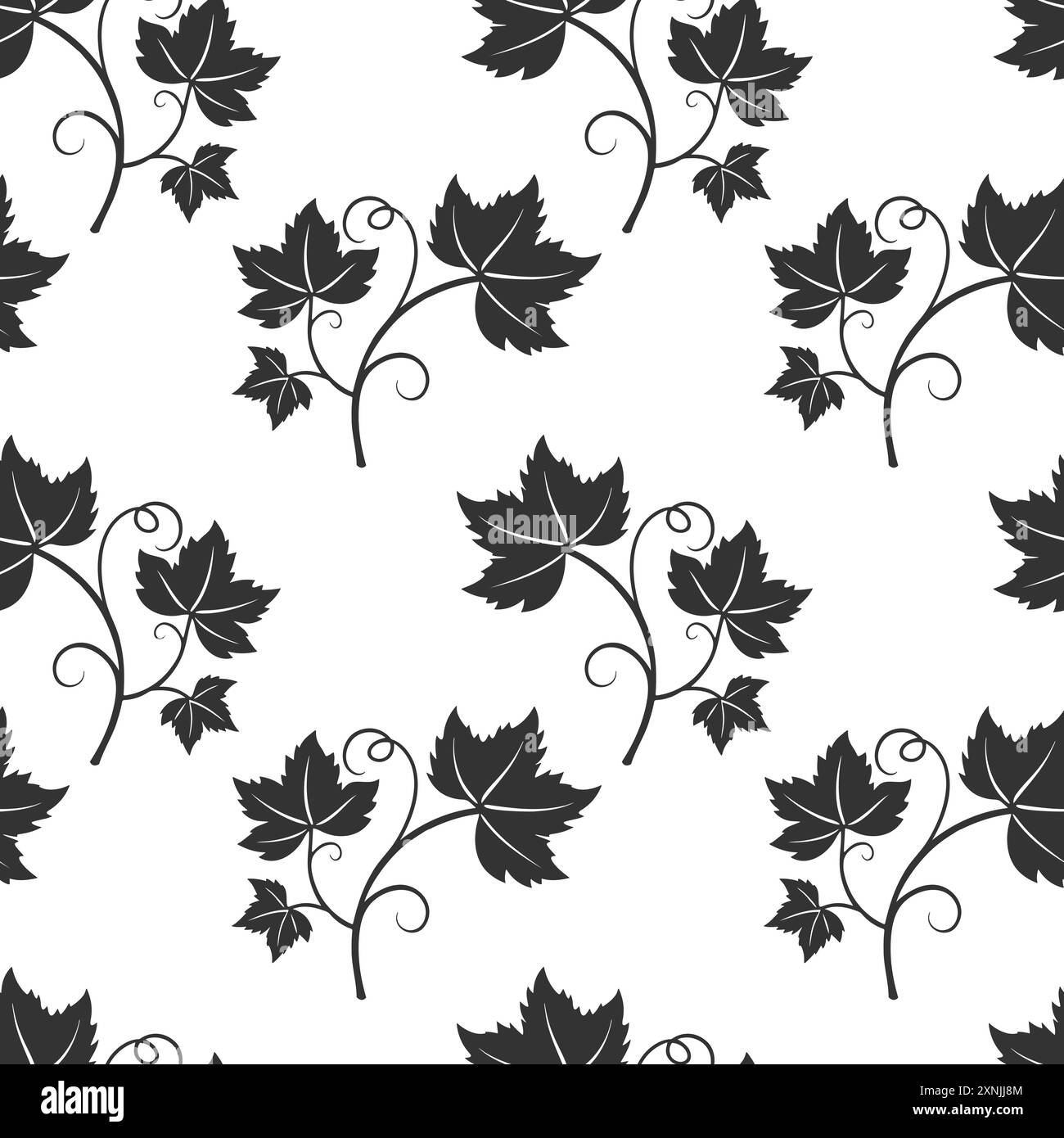 Grape vine with leaves pattern, dark vine silhouette on white ...