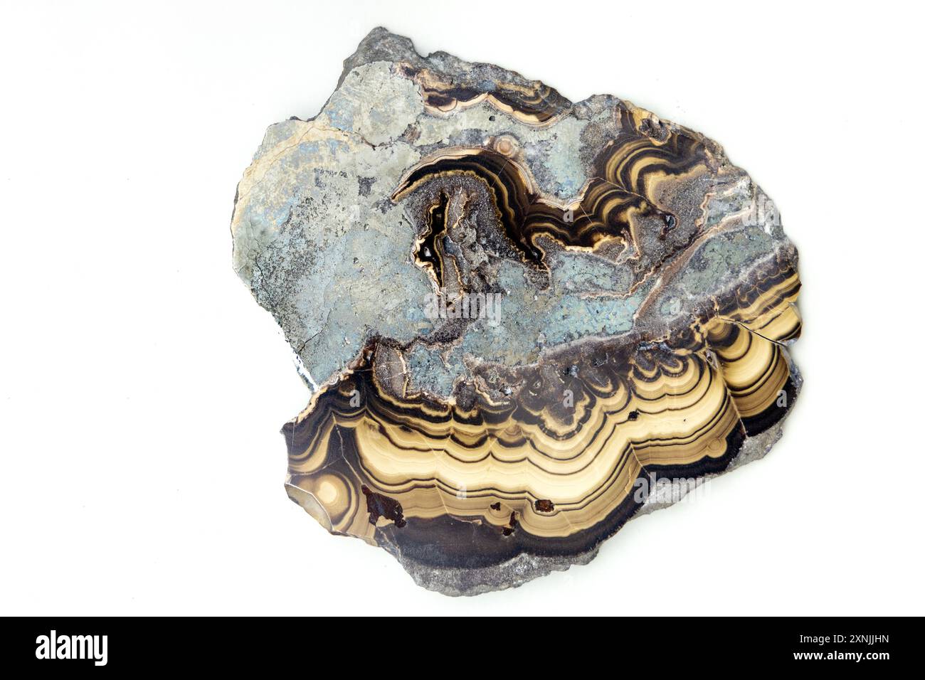 Zinc-lead ore with iron sulfide and galena, Geological Museum, Warsaw ...