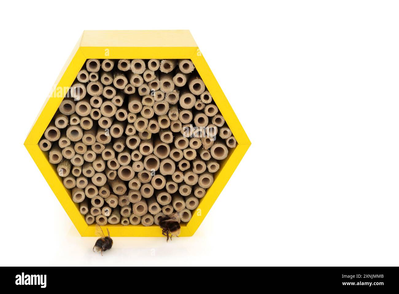 Bumblebee shelter Cut Out Stock Images & Pictures - Alamy