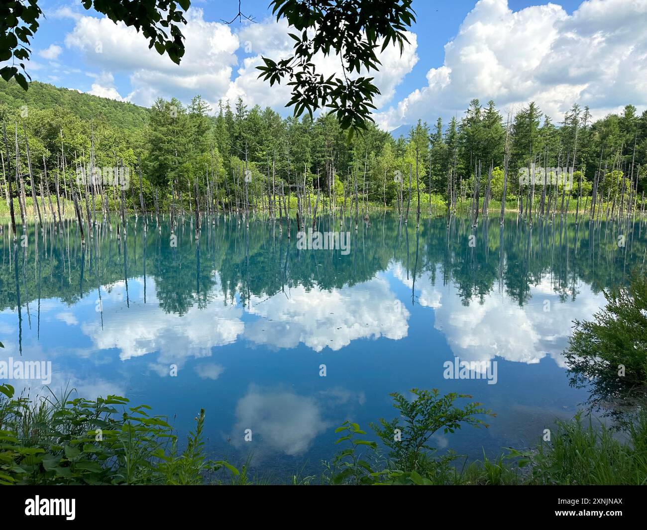 Beautiful scenery Blue Pond, aoi-ike in Japanese, in summer Shirogane ...