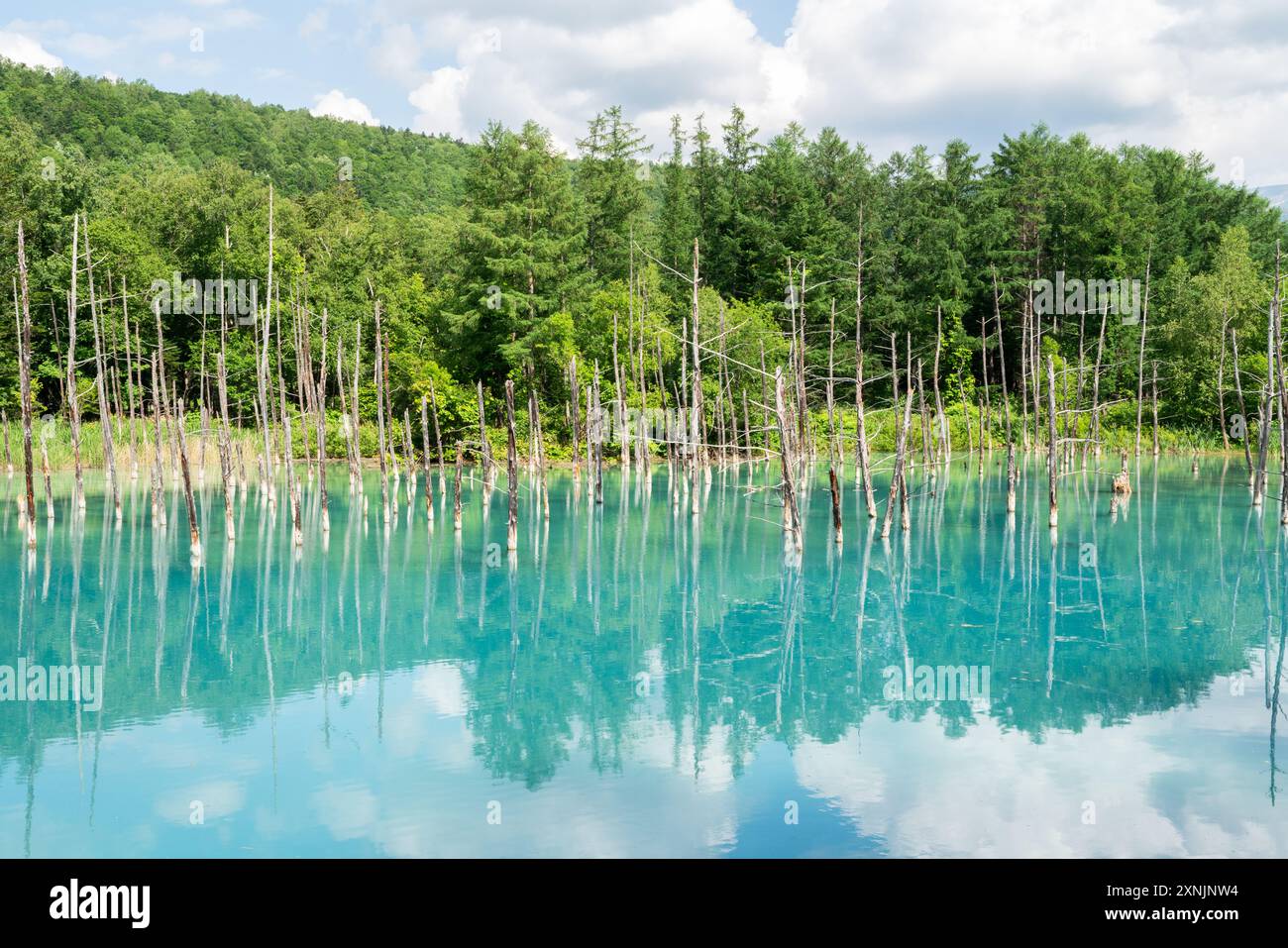Beautiful scenery Blue Pond, aoi-ike in Japanese, in summer Shirogane ...