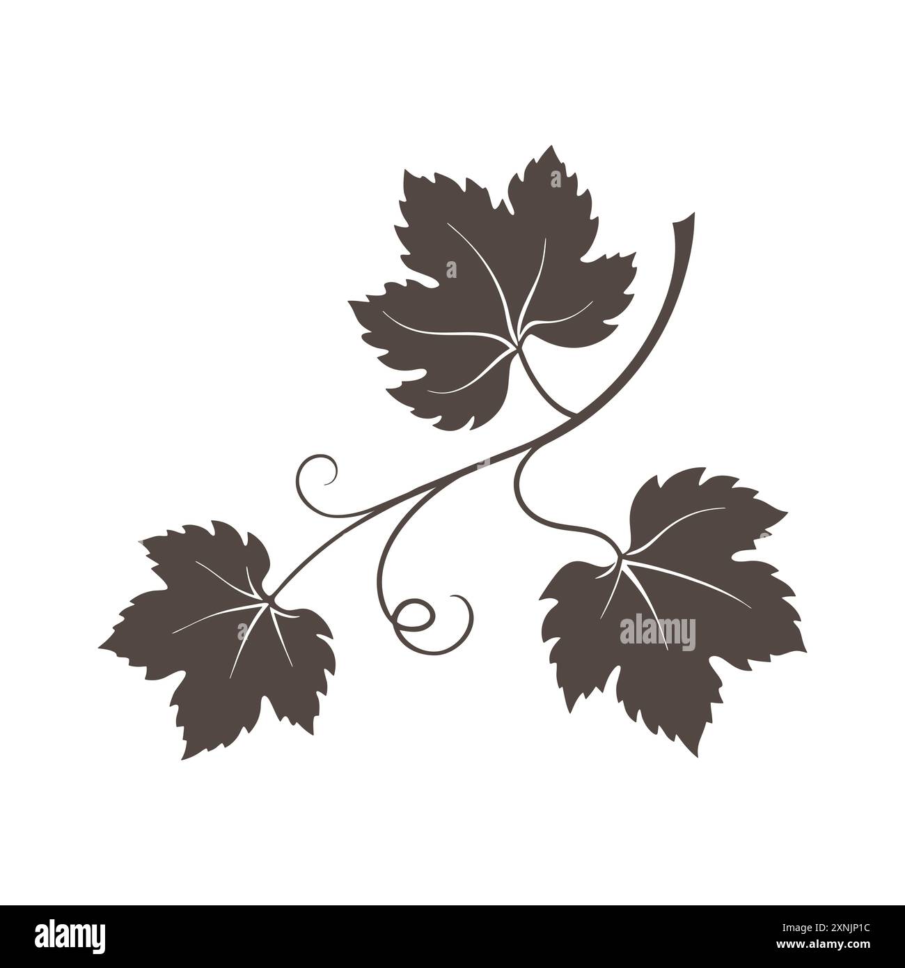 Silhouette of grapevine on white background. Vector illustration Stock ...