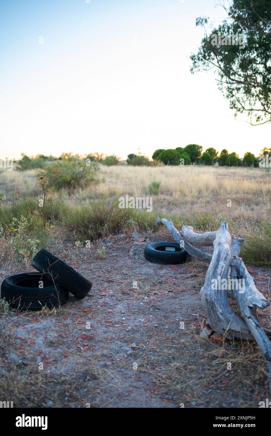 Nature's Reclaimed: Nature slowly reclaiming a space marked by human ...