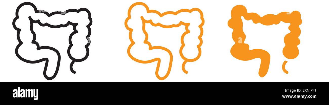 Large intestine icon web design logo set collection in vector Stock ...