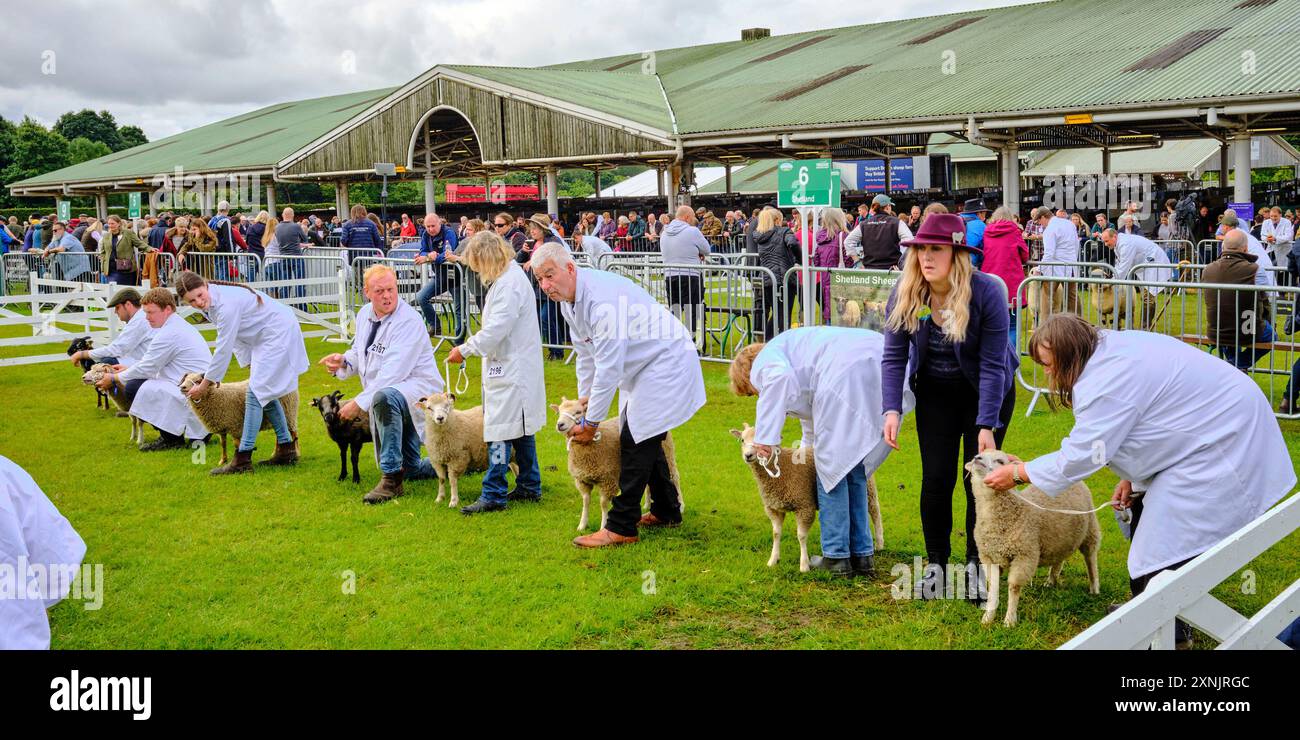Activity at the Great Yorkshire Show, Harrogate Showground, North ...