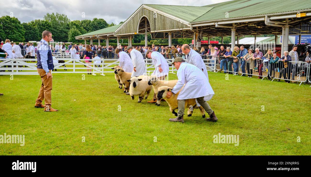 Activity at the Great Yorkshire Show, Harrogate Showground, North ...