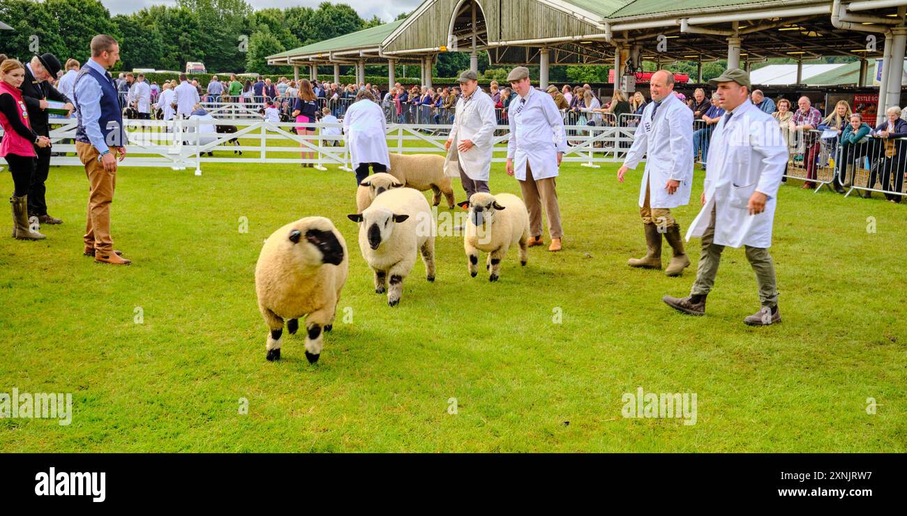 Activity at the Great Yorkshire Show, Harrogate Showground, North ...