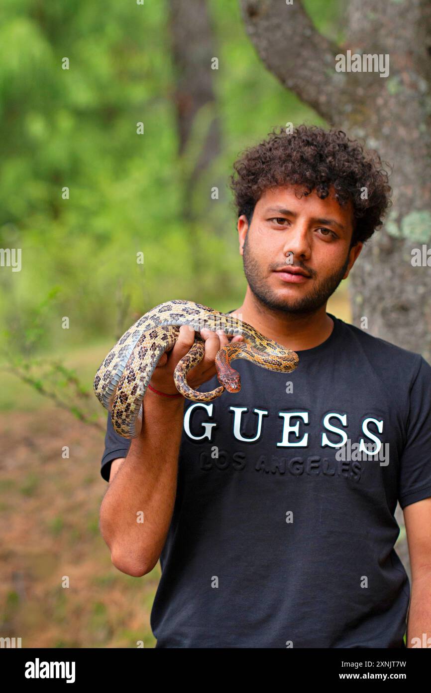 A PhD scholar working on snakes photographed during a herpetological ...