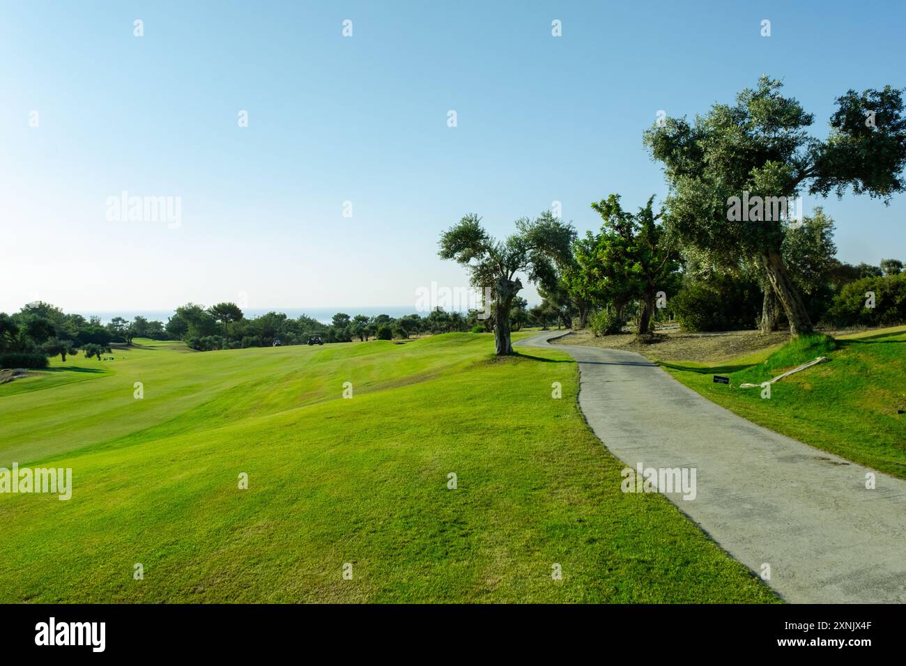 Golf teeing ground in golf course with sunrise background Stock Photo ...
