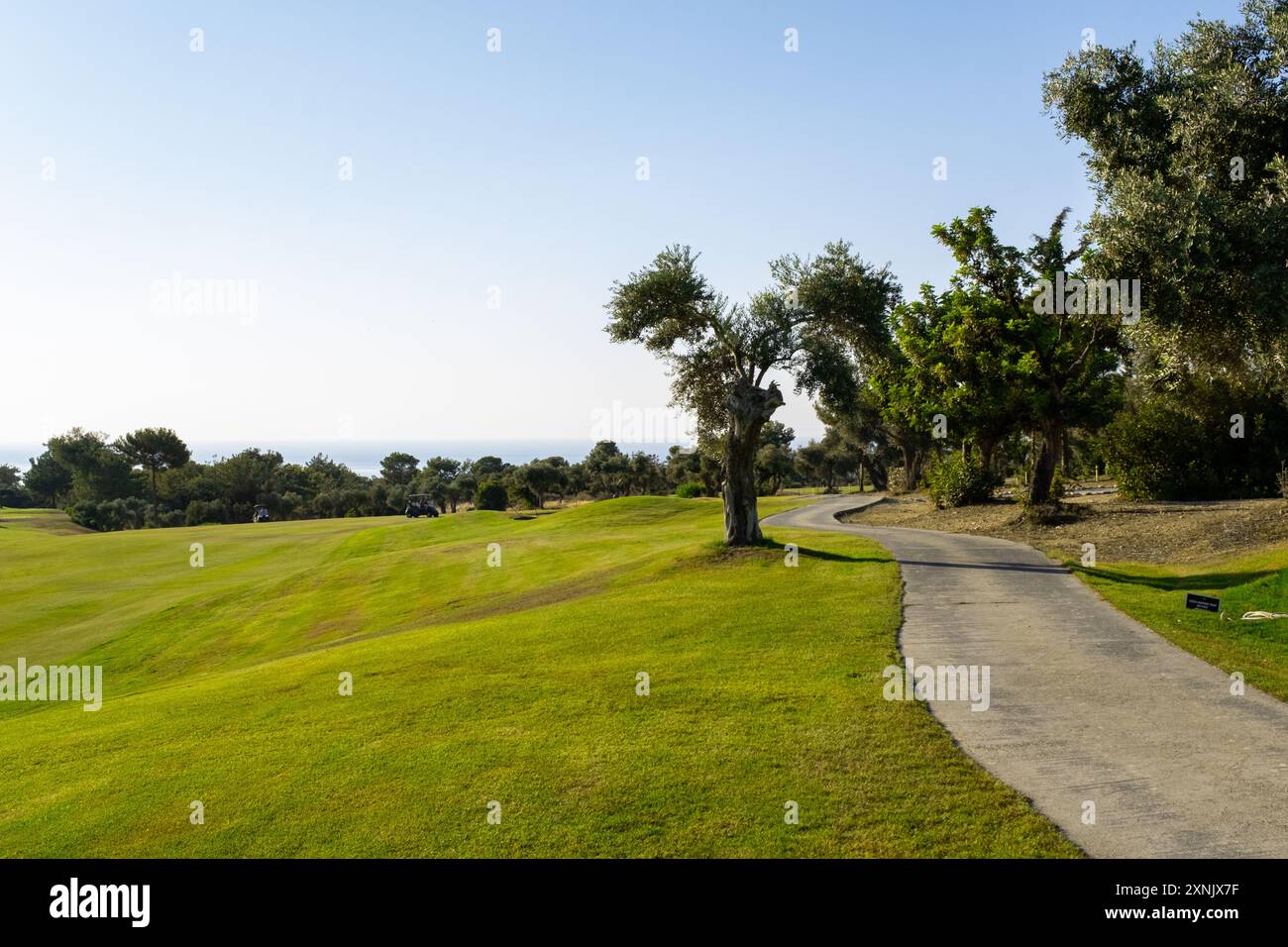 Golf teeing ground in course hi-res stock photography and images - Alamy