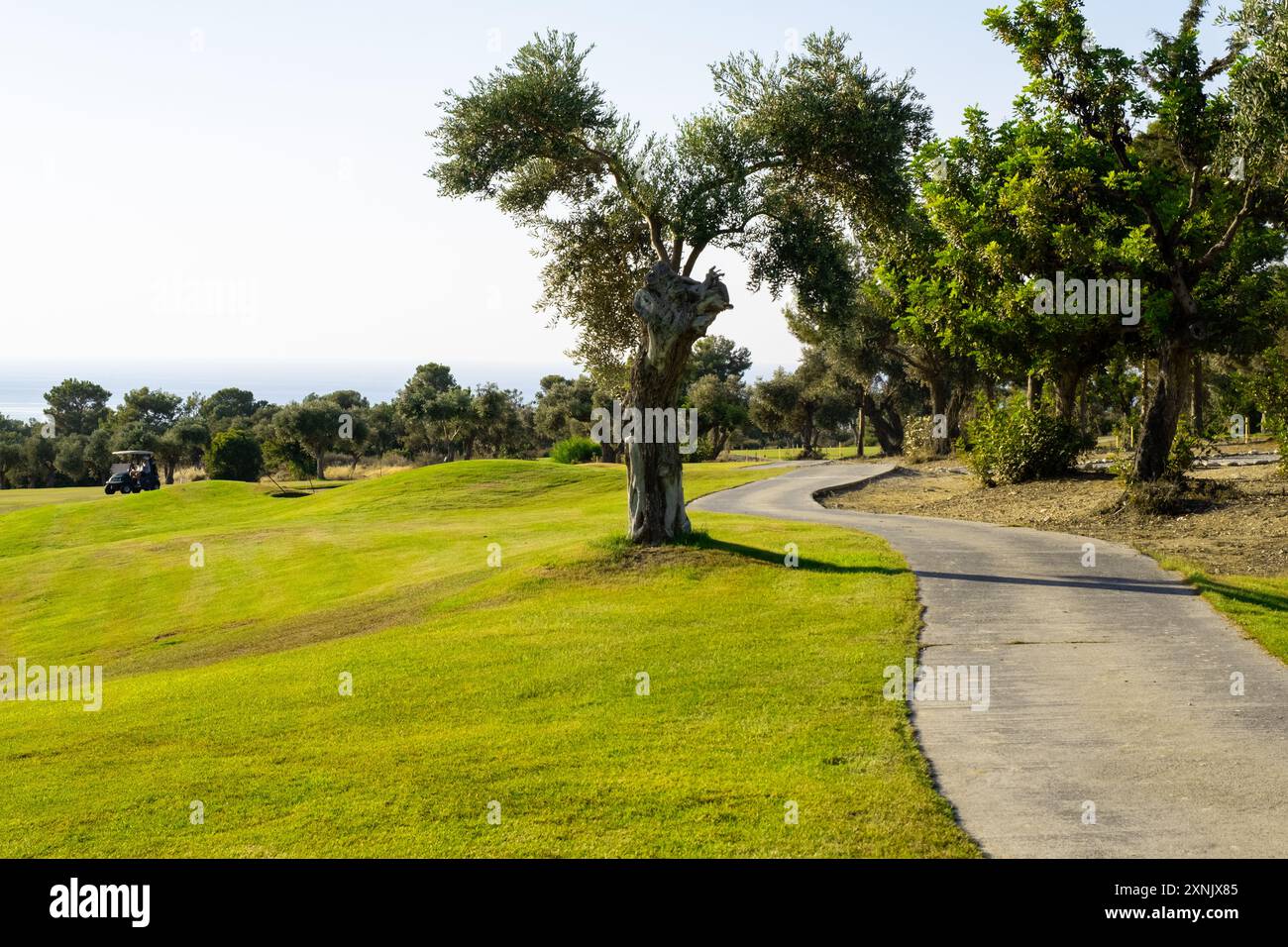 Playing golf sunrise hi-res stock photography and images - Alamy